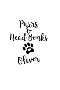 Training Your Human to Fetch (the Feline Way) | Home | felineopines