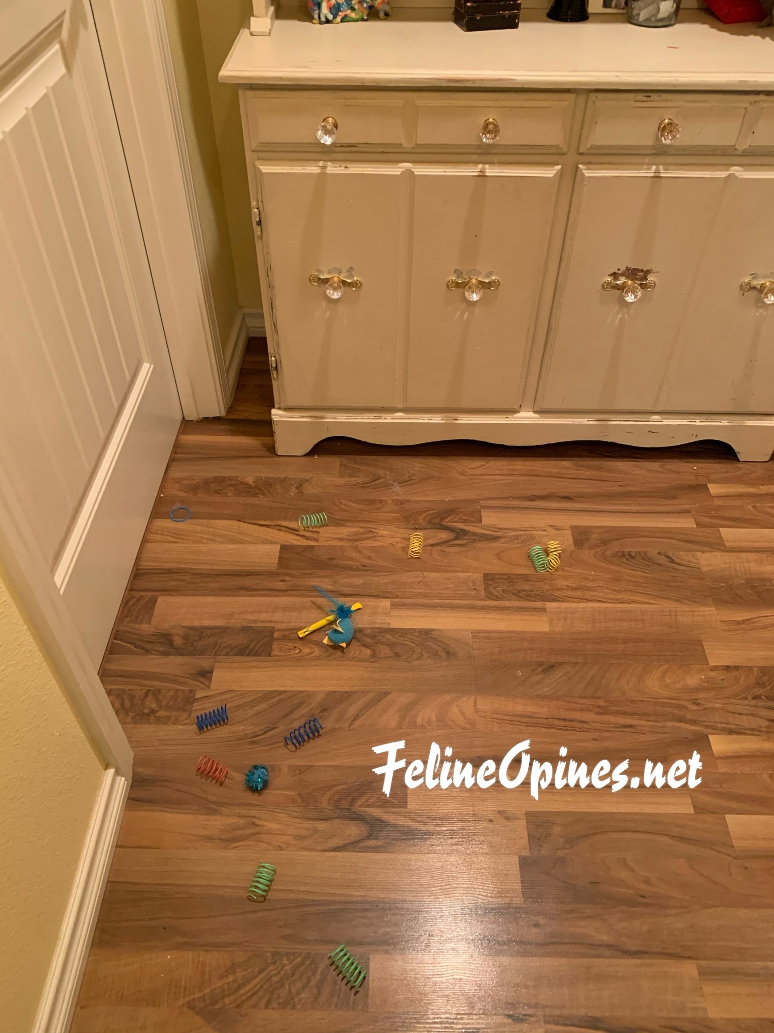 Training Your Human to Fetch (the Feline Way) | Home | felineopines