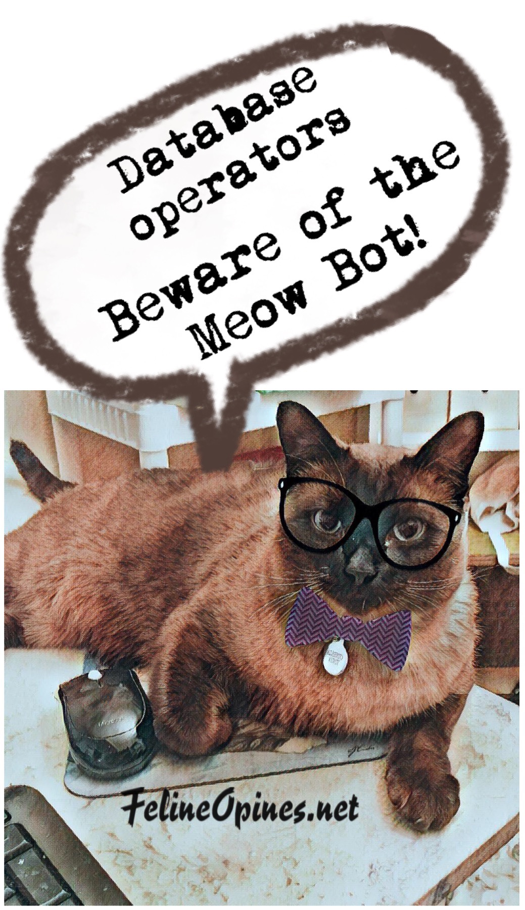 Walk Through The Web Wednesday 7/22 | Home | felineopines